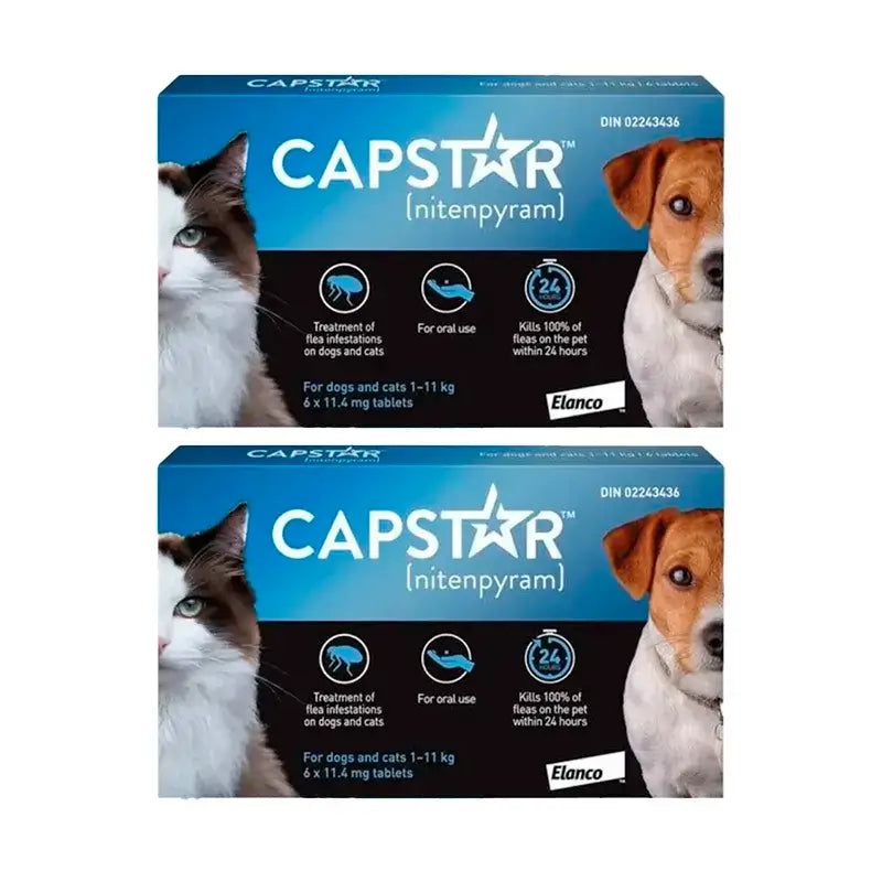 Comprar Capstar 11,45Mg Cão & Gato 1-11Kg, Embalagem 2 X 6 Comprimidos ...